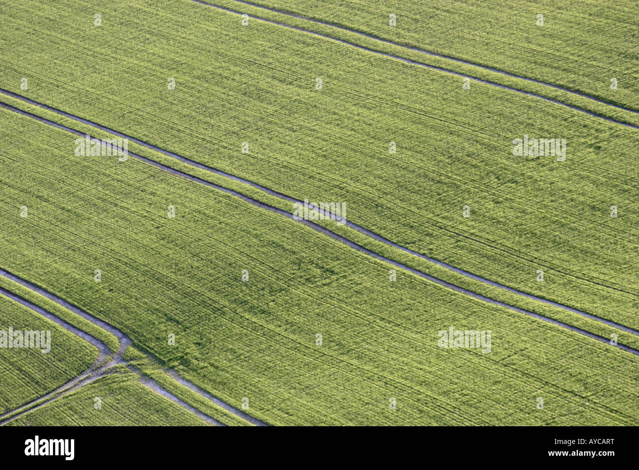 Tractor tracks creating pattern hi-res stock photography and images - Alamy