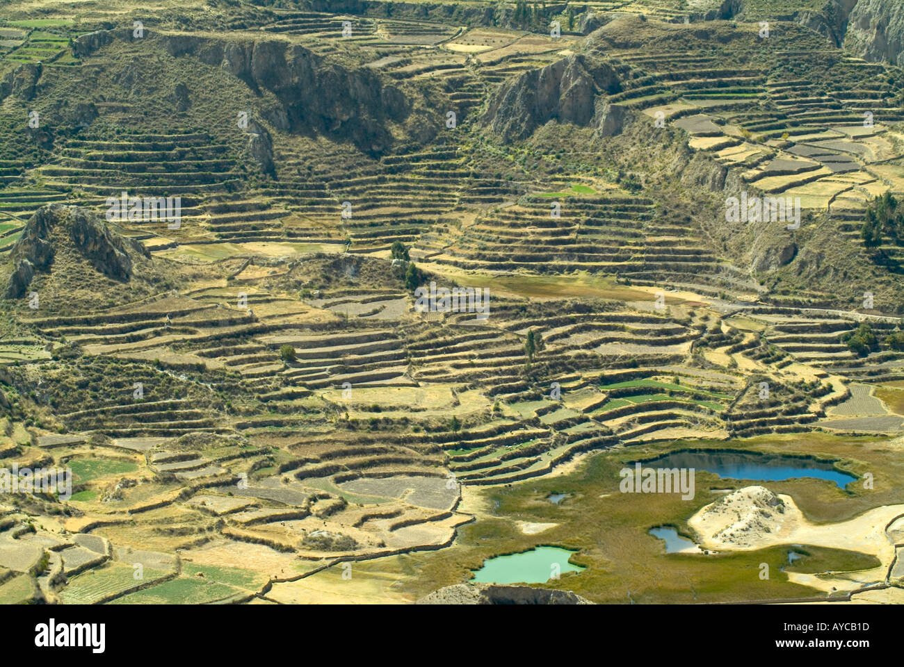 Inca Terraces in the Sacred Valley Stock Photo - Alamy