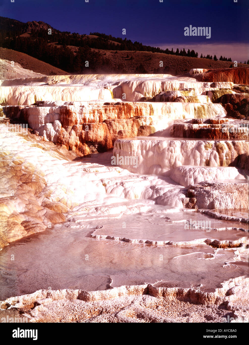 Yellowstone National Park in Wyoming showing the Minerva Terrace ...