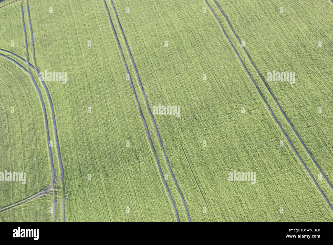 Aerial view of tractor tracks creating patterns in a winter crop field ...