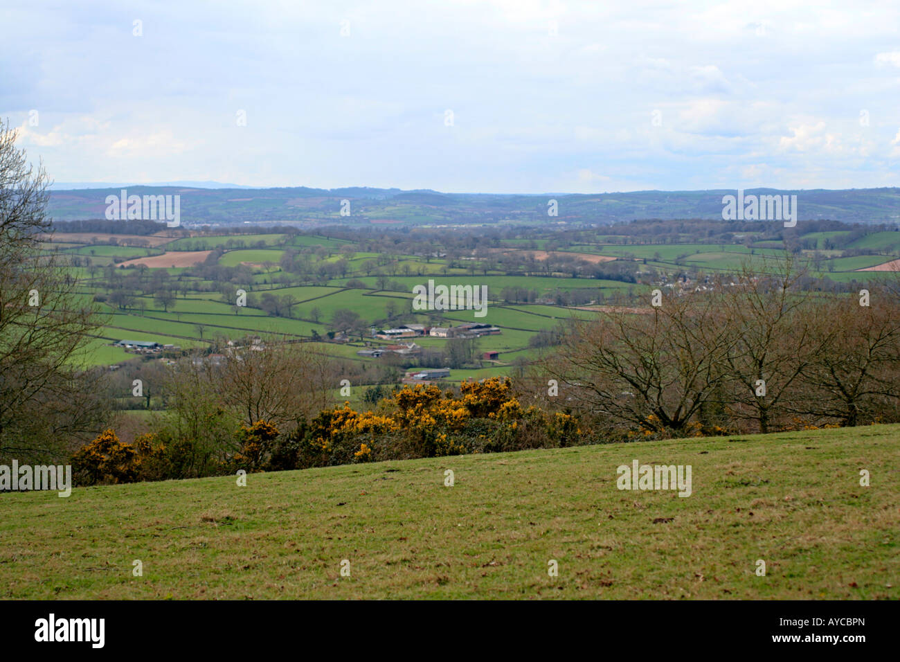 Ashill devon hi-res stock photography and images - Alamy