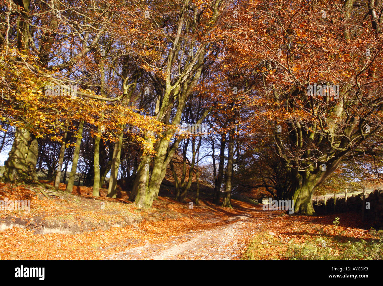 Oxlow rake hi-res stock photography and images - Alamy