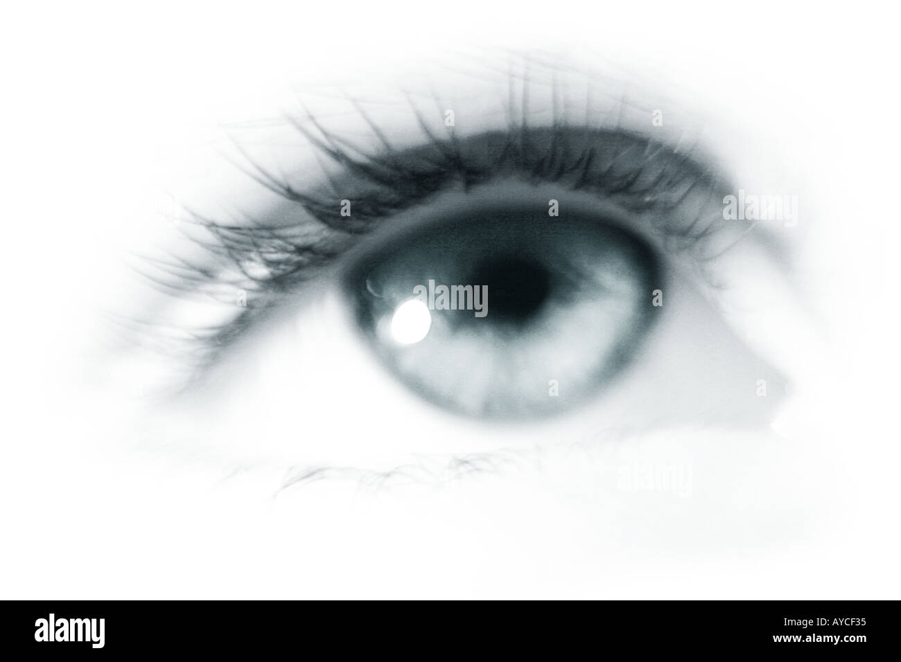 The eye Cut Out Stock Images & Pictures - Alamy