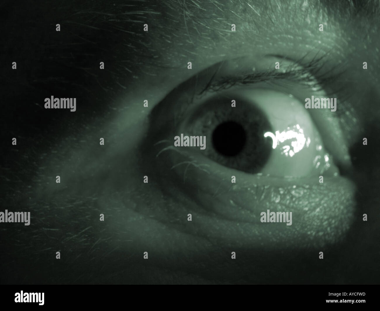 Fear afraid scared eye Stock Photo - Alamy