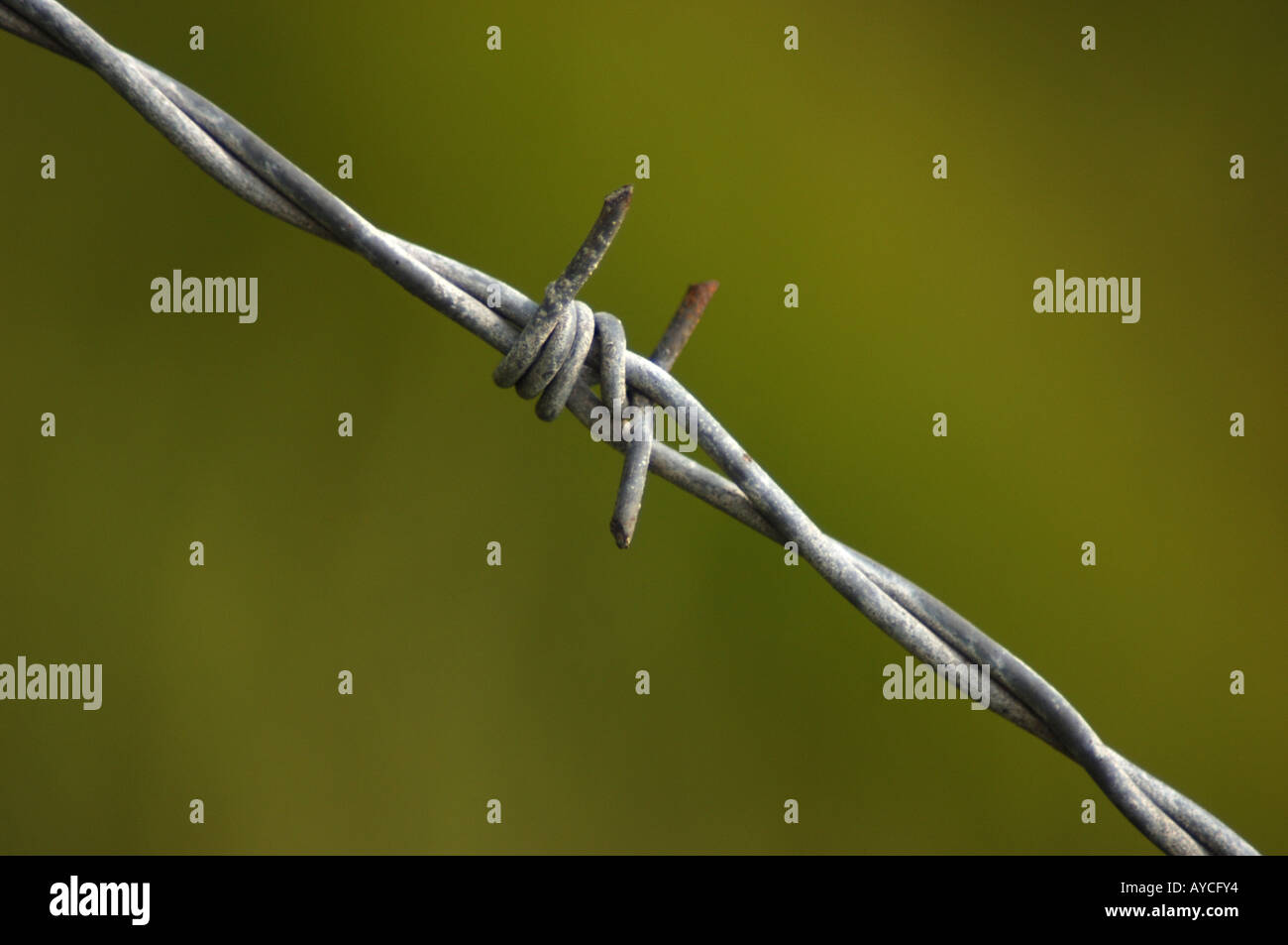 Barbed wire guarding hi-res stock photography and images - Alamy