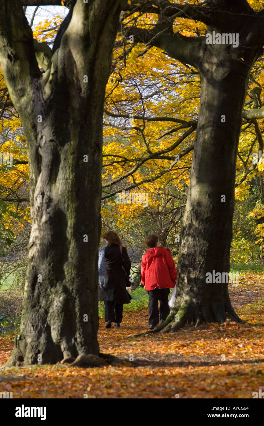 Two people walking along a path in a public park during Autumn Stock ...