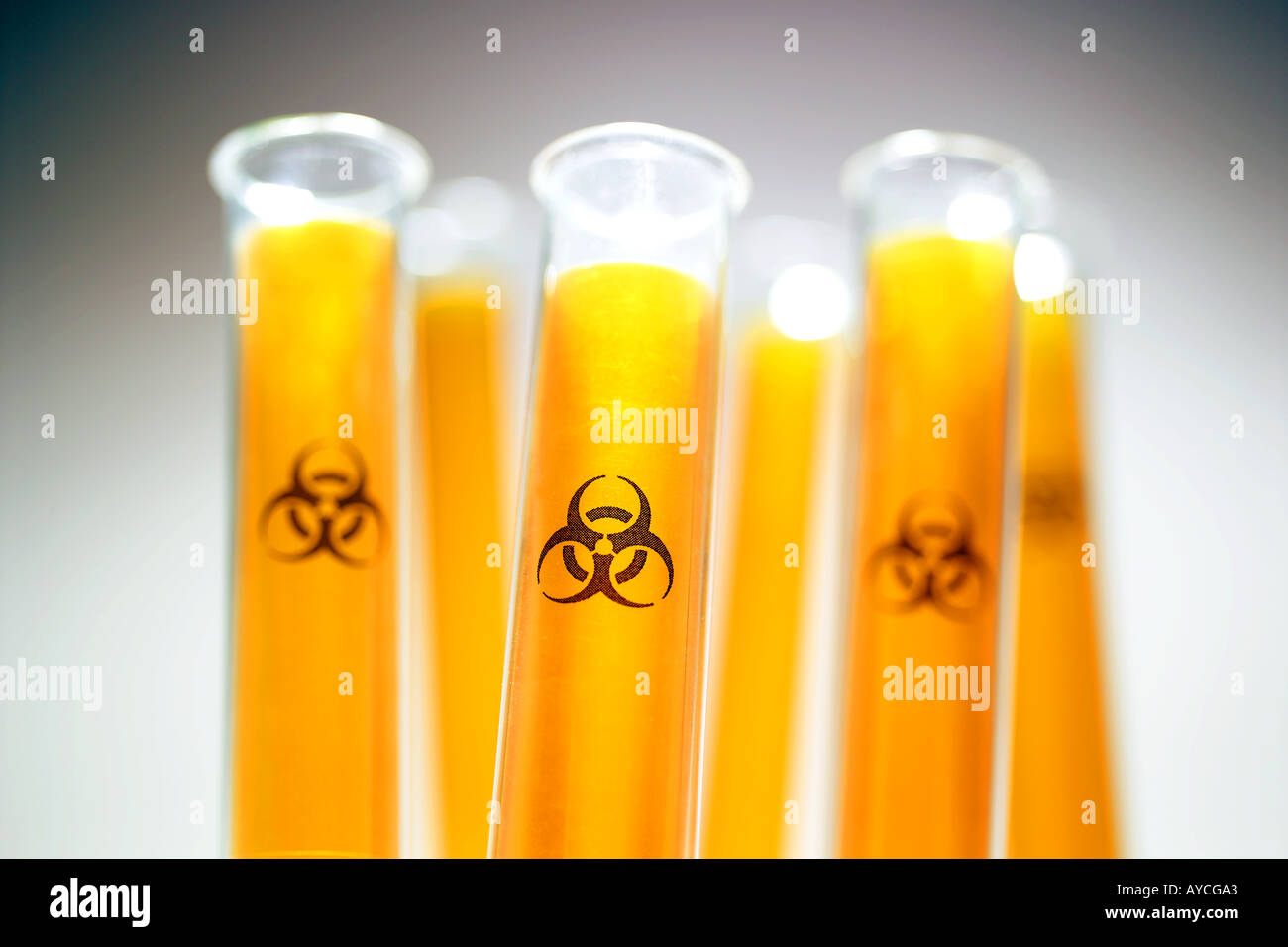 Test tubes with biohazard warning signs, close up Stock Photo - Alamy