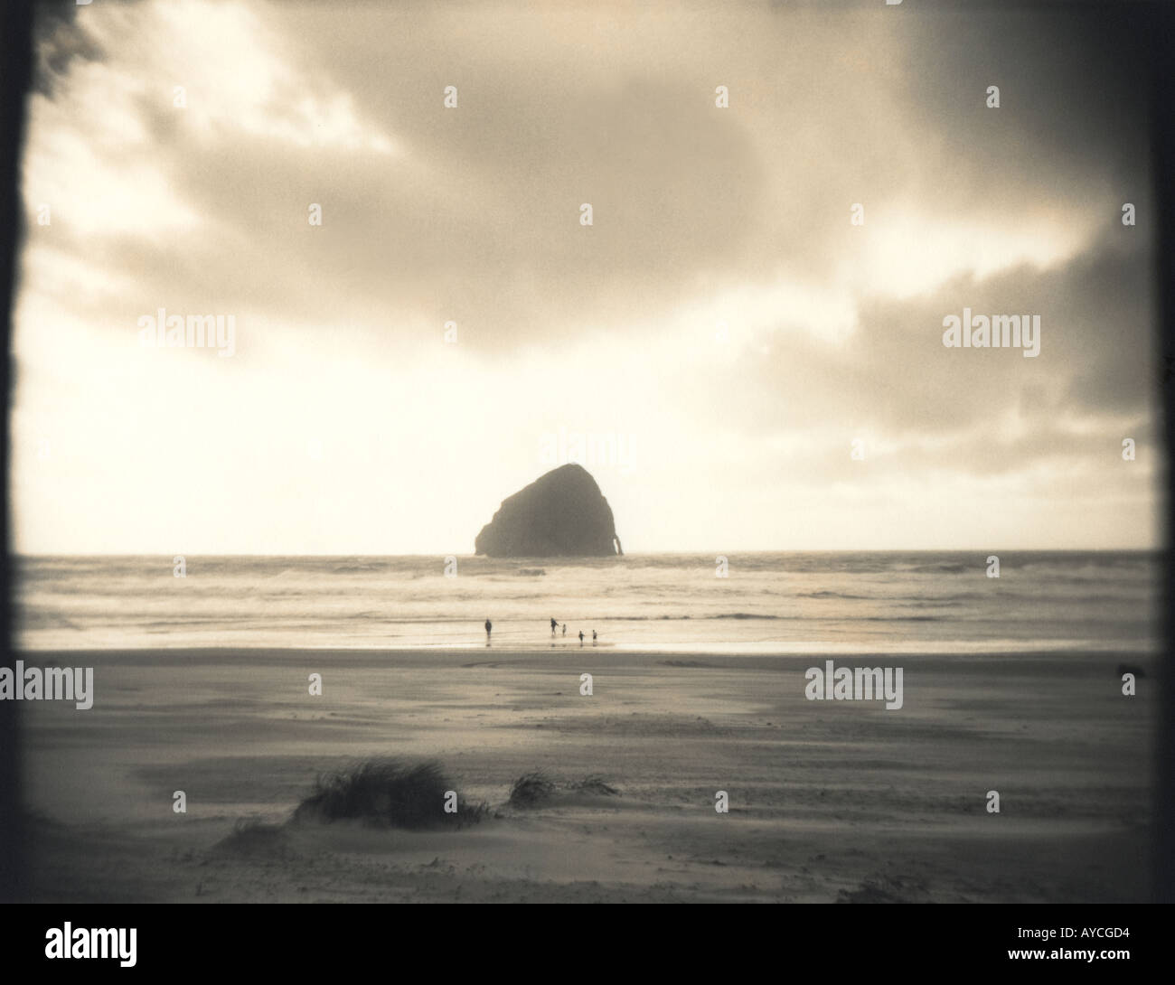 A family plays in the sunset Pacific Ocean surf near Haystack Rock at ...
