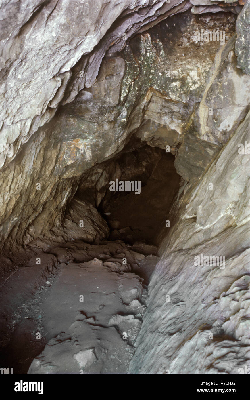 Slope down from entrance Aveline's Hole site of palaeolithic cave art ...