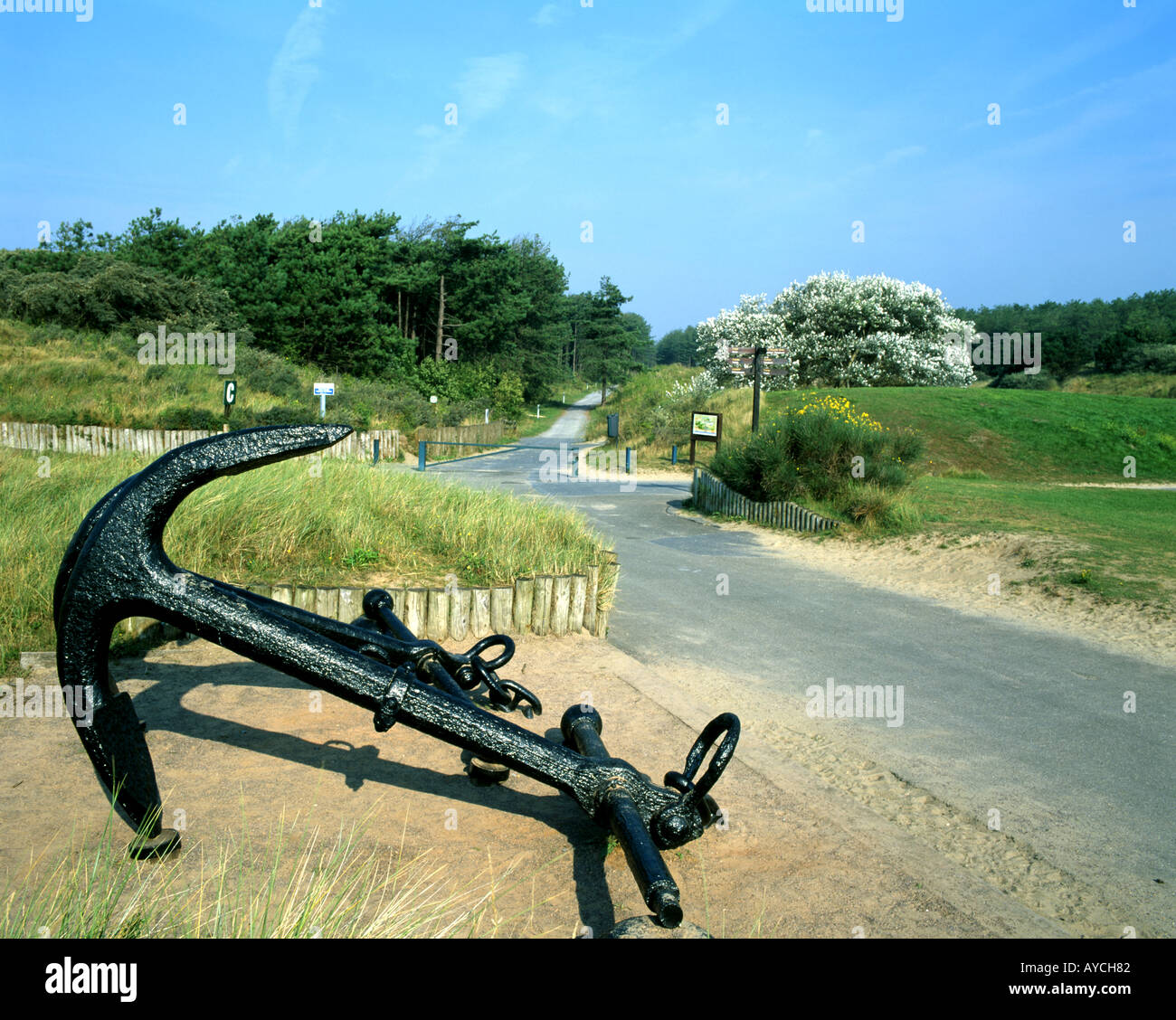 Pembrey country park summer hi-res stock photography and images - Alamy