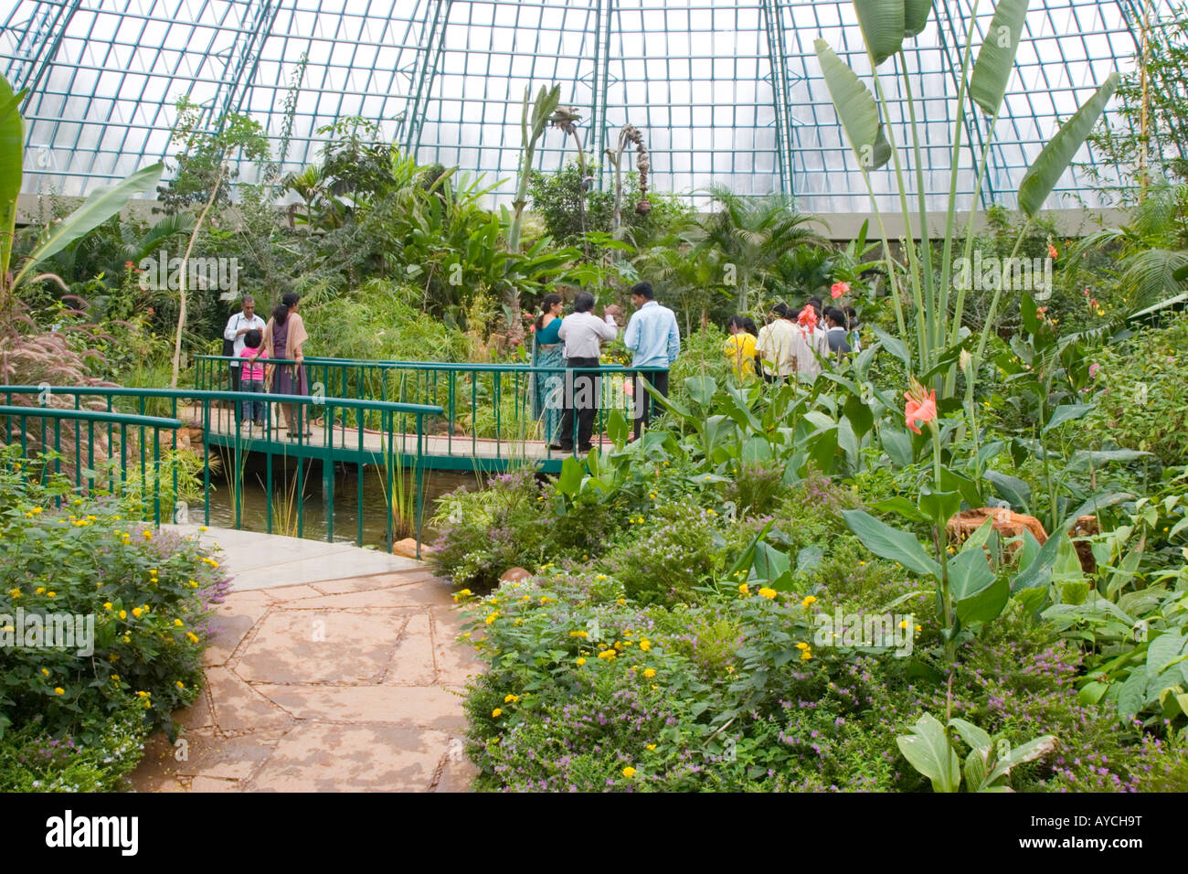 Butterfly park bangalore hi-res stock photography and images - Alamy