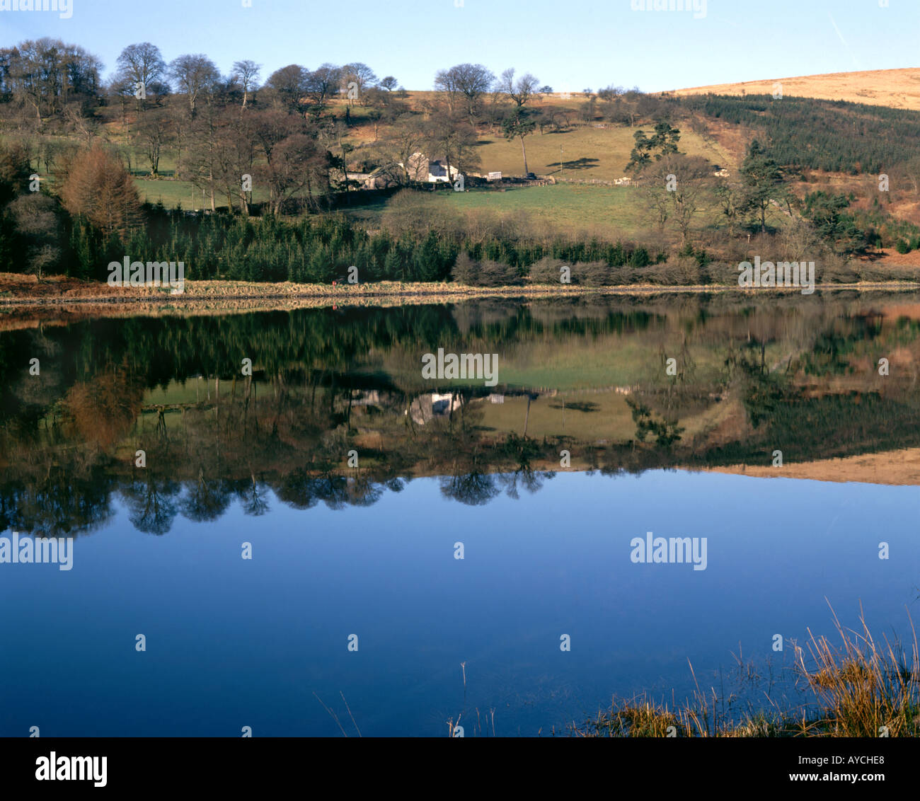 Pentwyn farm hi-res stock photography and images - Alamy