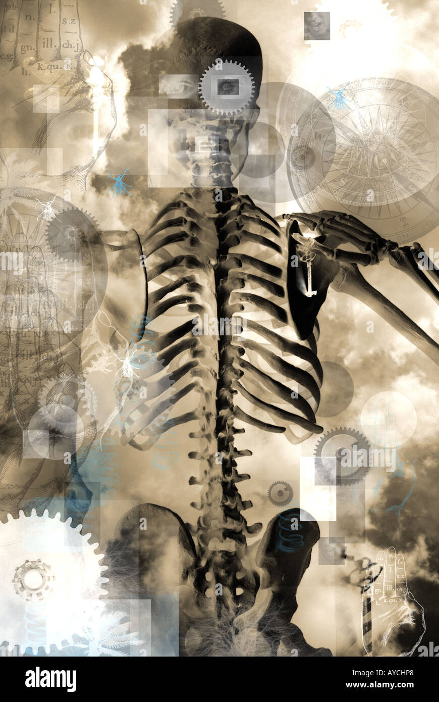 Collage with skeleton and science elements including compass and hand ...