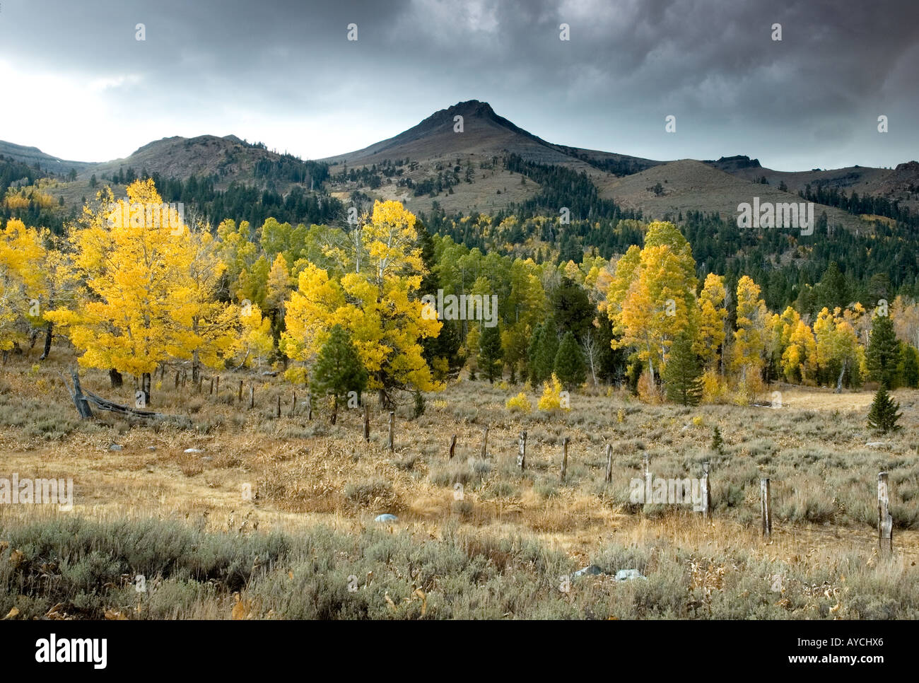 Hope valley nevada hi-res stock photography and images - Alamy
