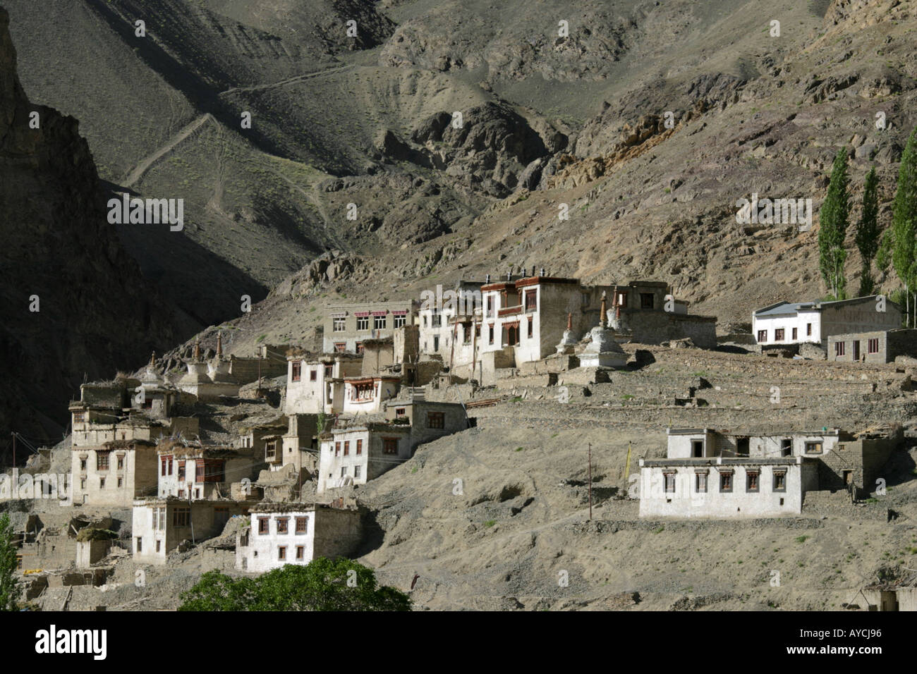 A village on the upland plain of Ladakh Stock Photo - Alamy