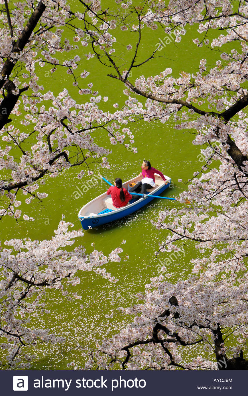 Women Rowing Boat High Resolution Stock Photography and Images - Alamy