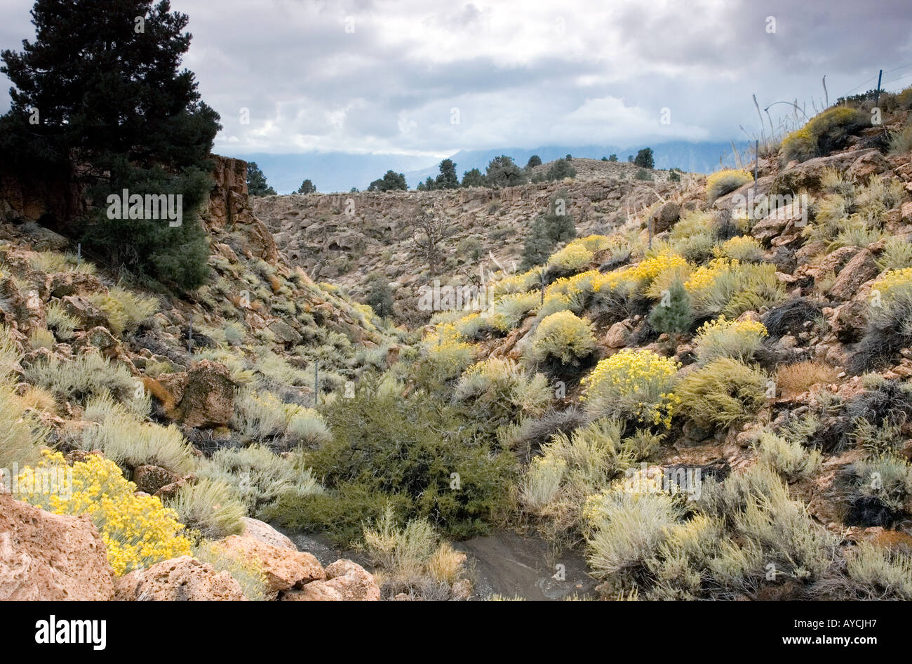 Sherman ranch hi-res stock photography and images - Alamy