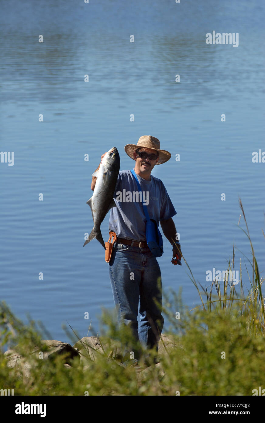 Angler shows off his fish a large bluefish Stock Photo - Alamy