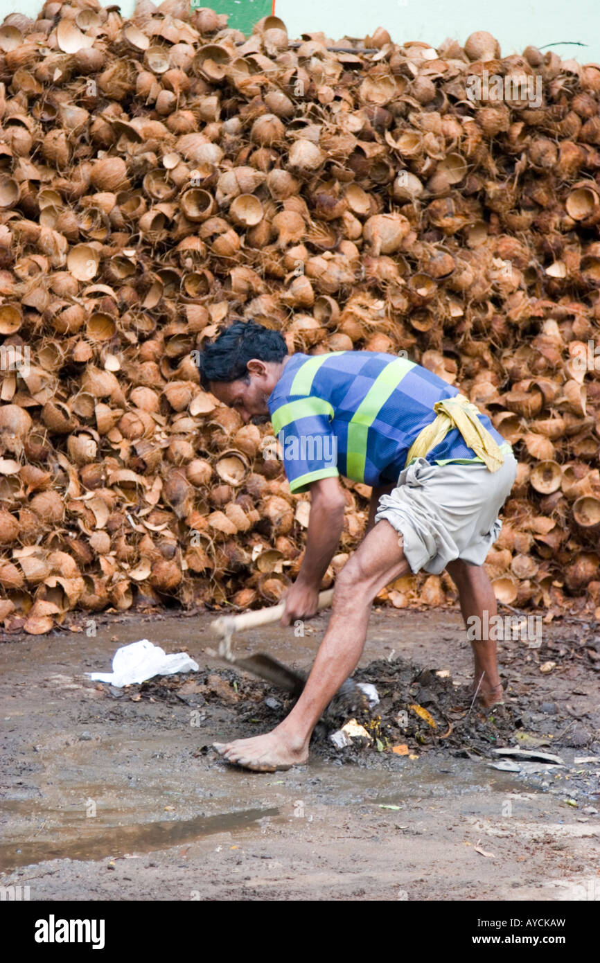 Pile of coconut shells hi-res stock photography and images - Alamy
