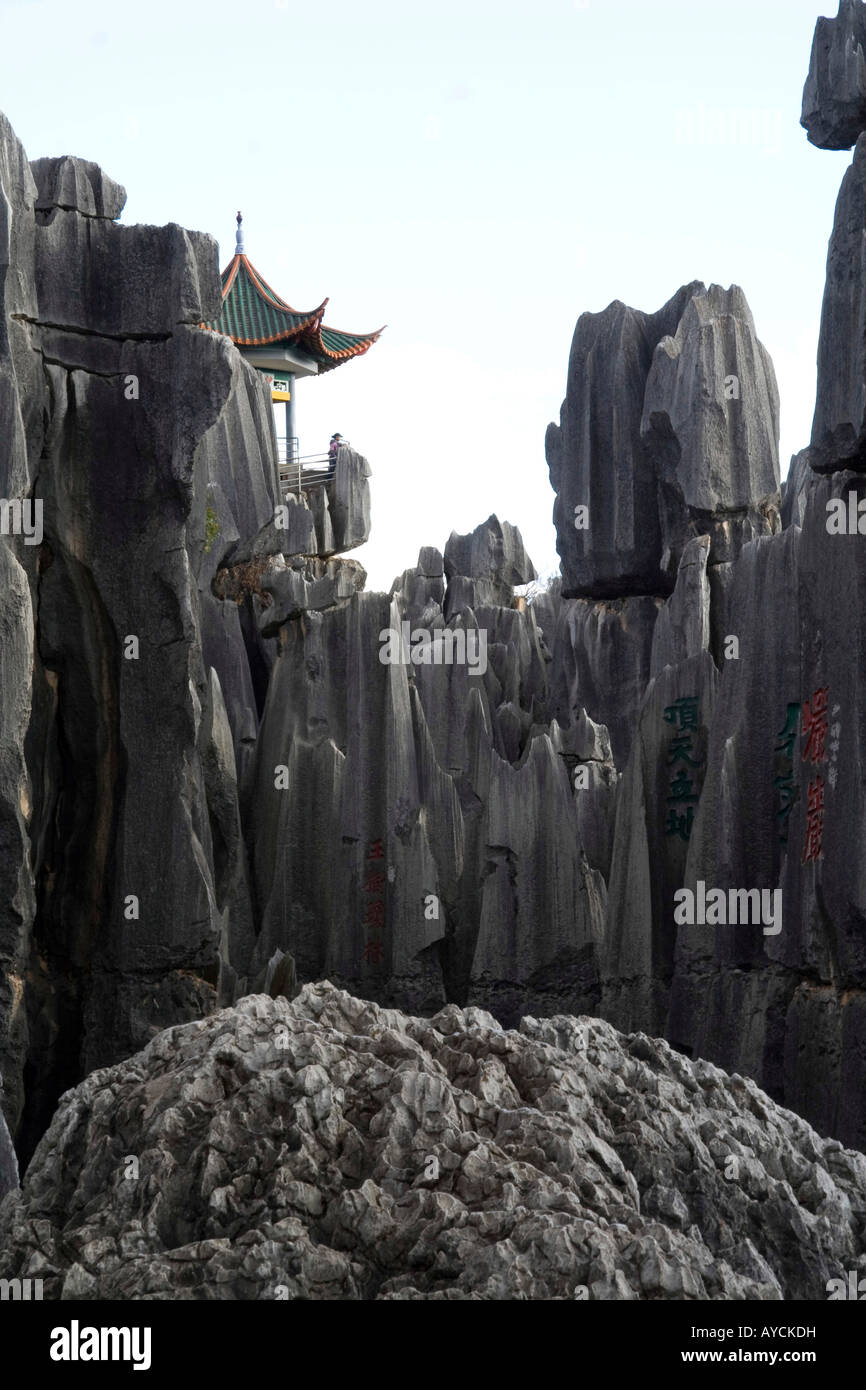 Intricate formation of karst topography of Shilin Stone Forest in the ...