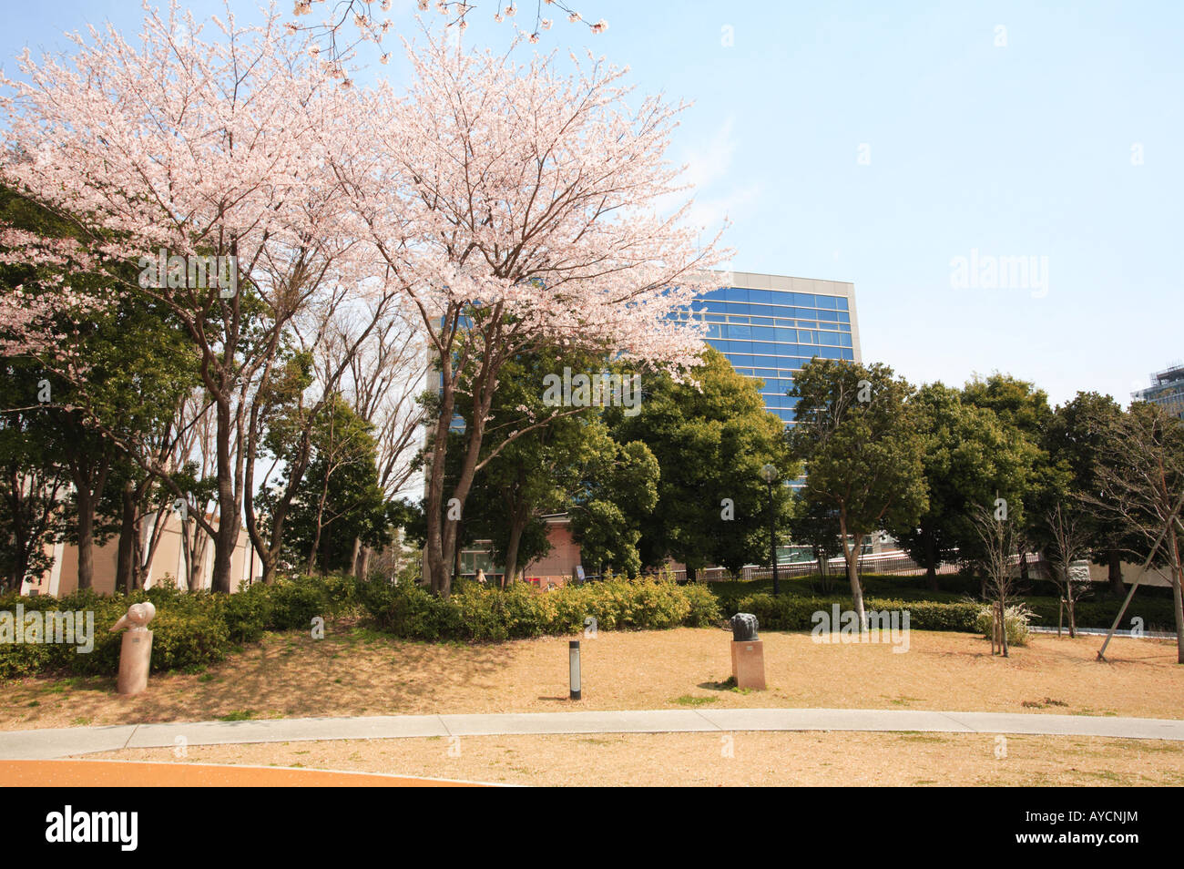 Ibaraki tsukuba city in japan hi-res stock photography and images - Alamy