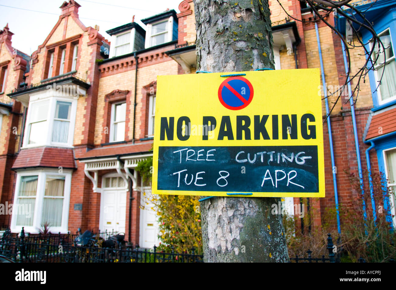 Tree Cutting Warning Sign High Resolution Stock Photography and Images ...