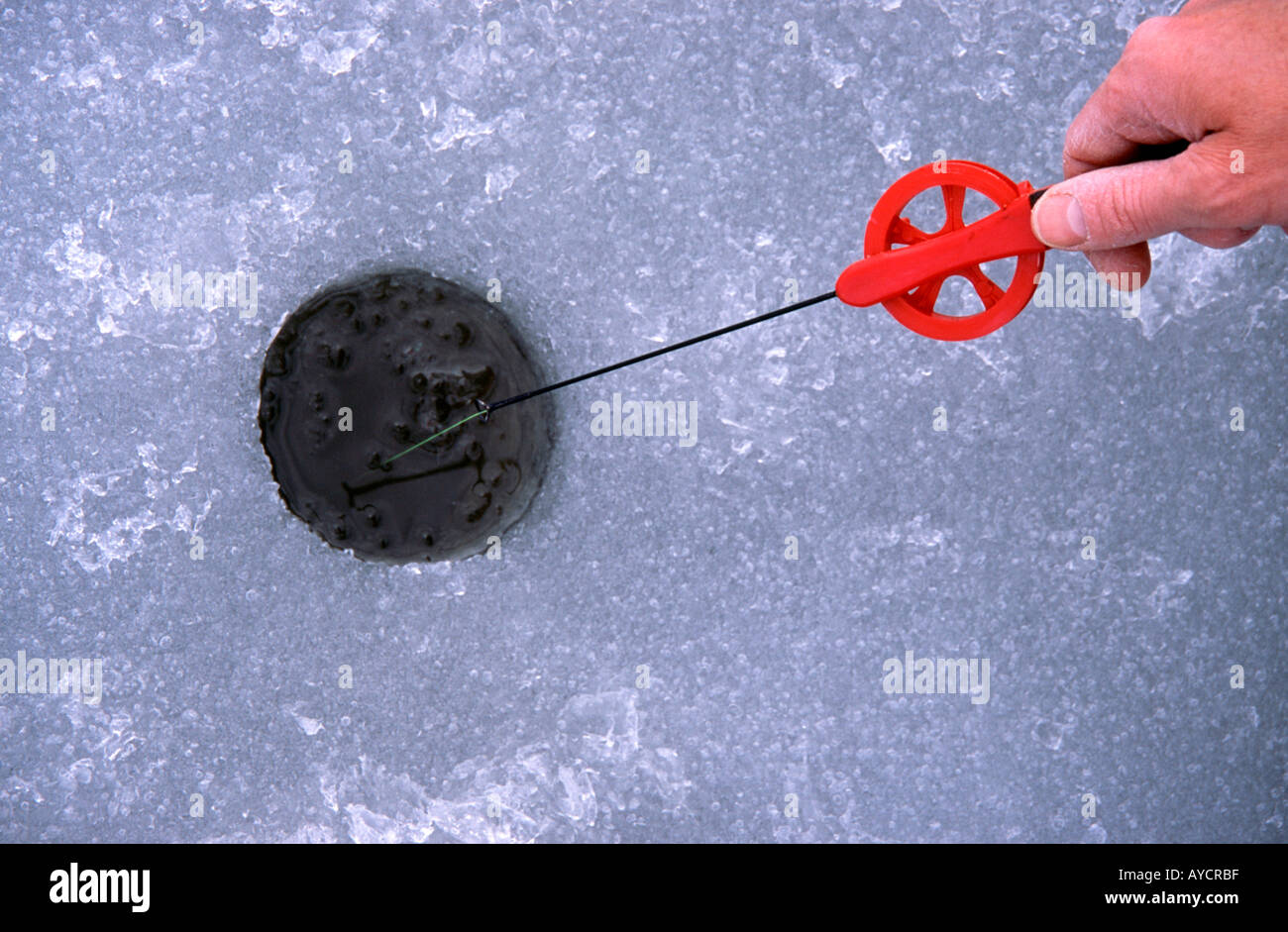 Bore fish hi-res stock photography and images - Alamy