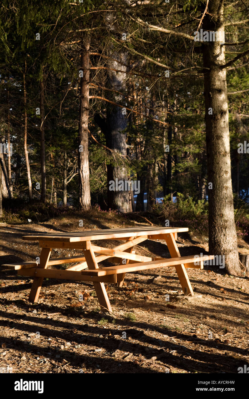 Pic-nic table in the wood Stock Photo - Alamy