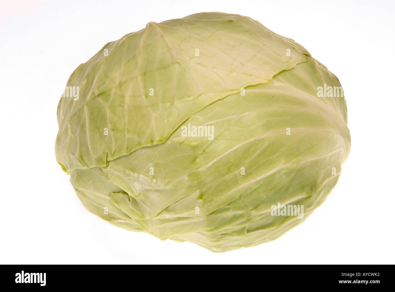 original primitive ancient ur- archetypal german white cabbage fresh ...