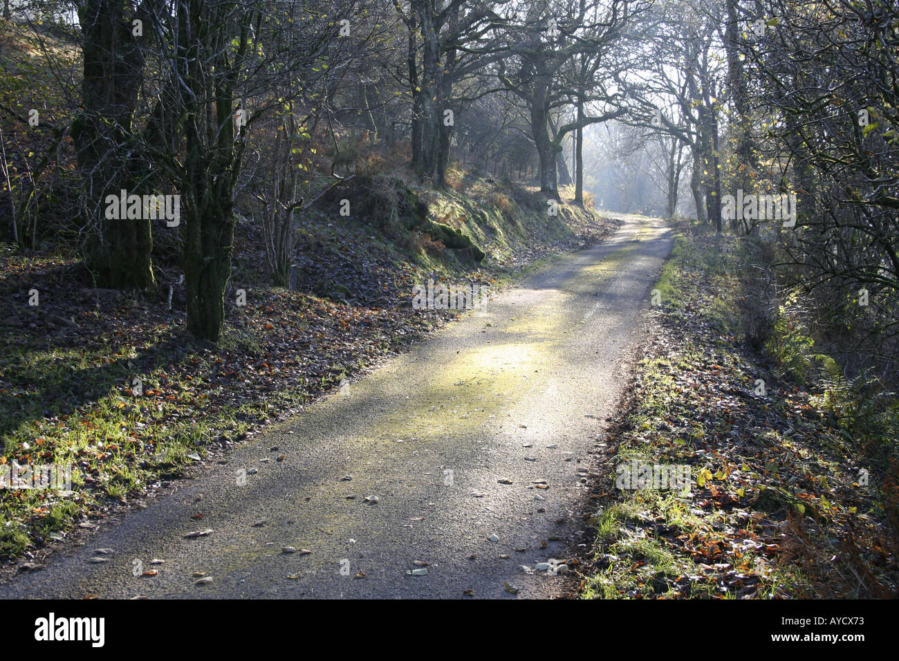 Farm Track Ystradfellte Wales UK Stock Photo - Alamy