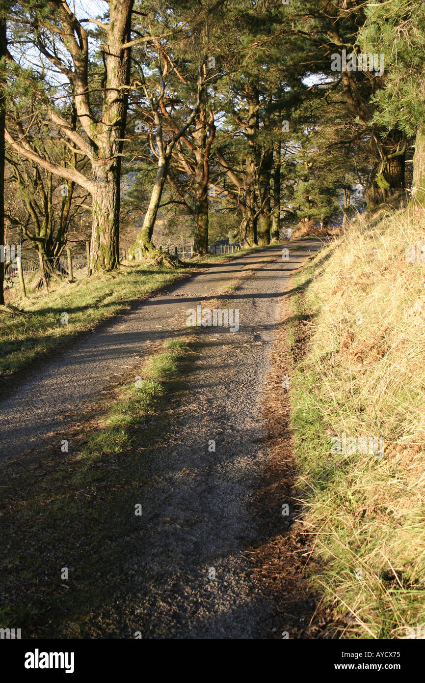 Farm Track Ystradfellte Wales UK Stock Photo - Alamy