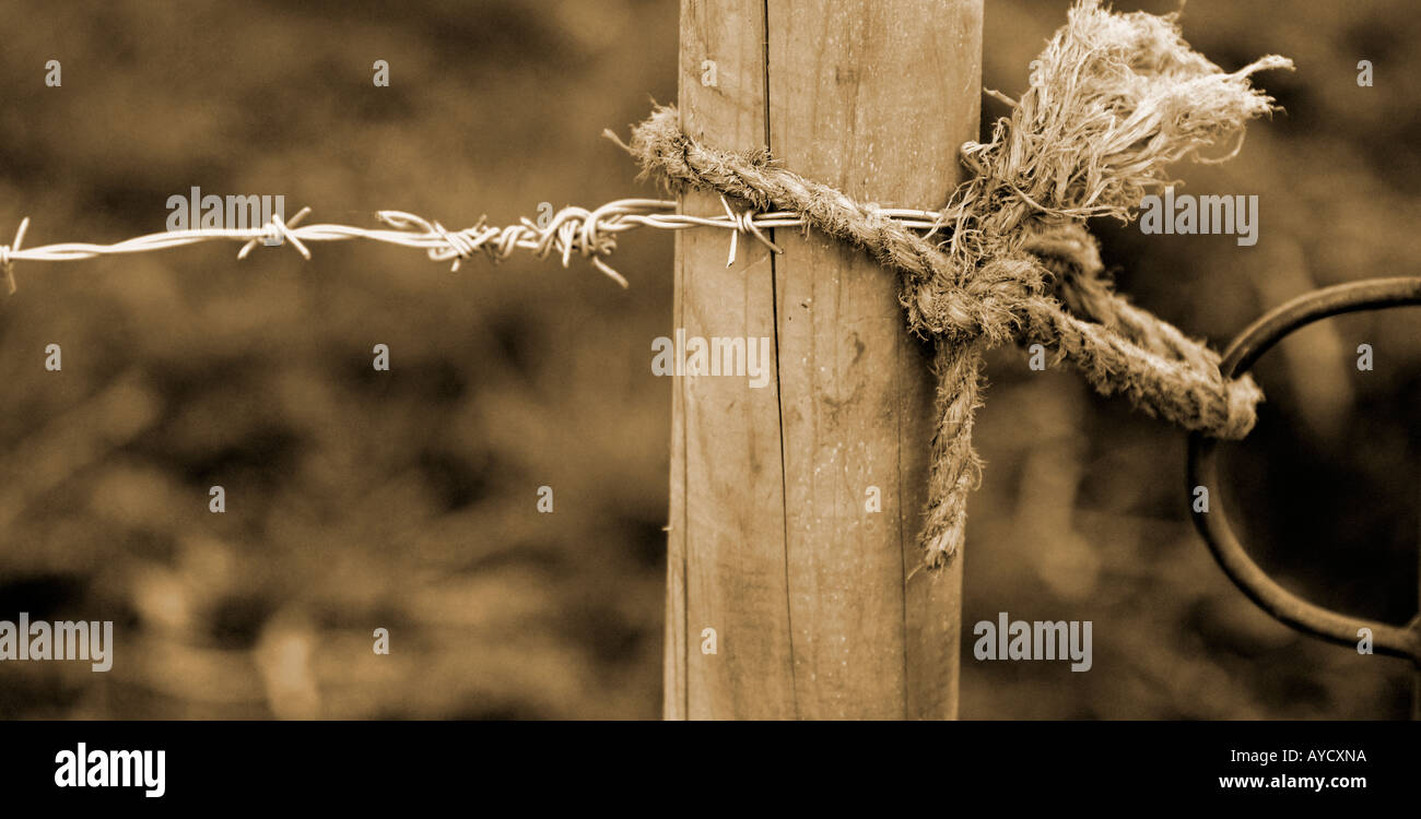 barbed wire on wooden post Stock Photo - Alamy