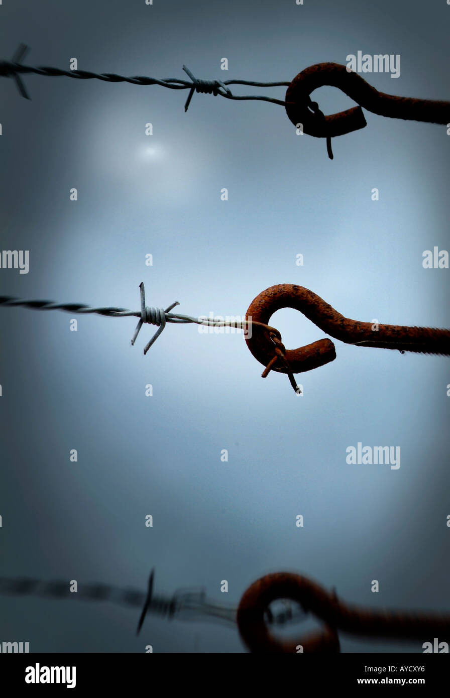 barbed wire fence Stock Photo - Alamy