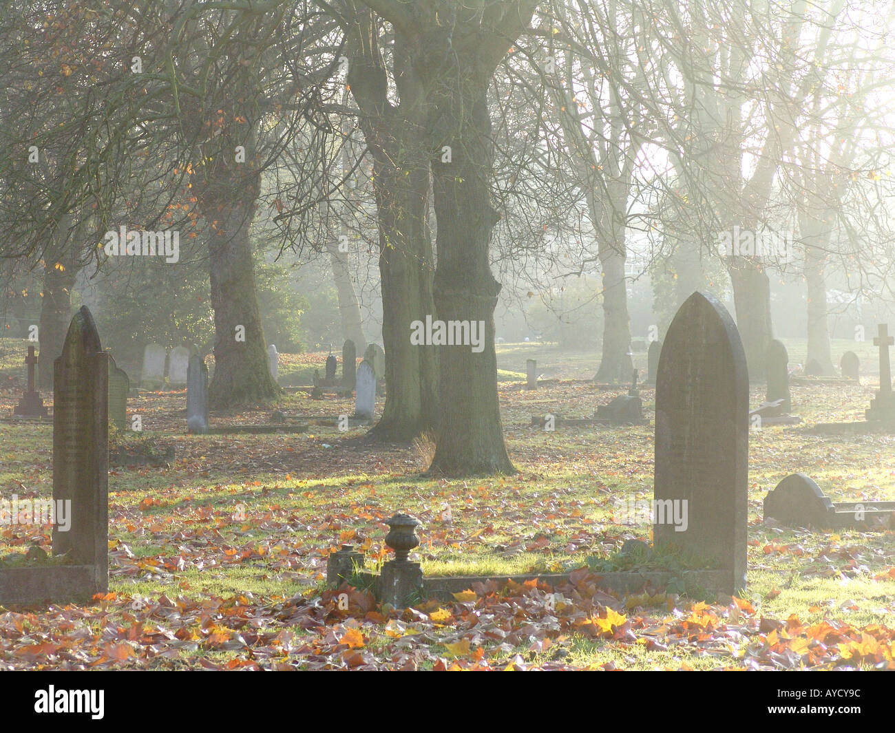 Eternity london britain england willesden lane cemetery hi-res stock ...