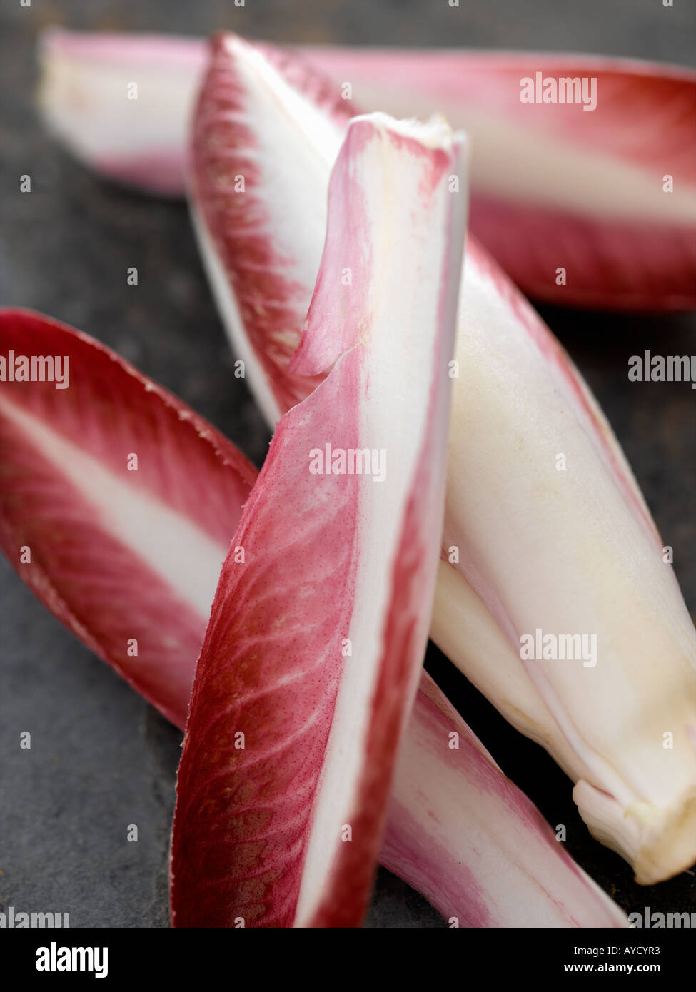 Red chicory leaves Stock Photo - Alamy