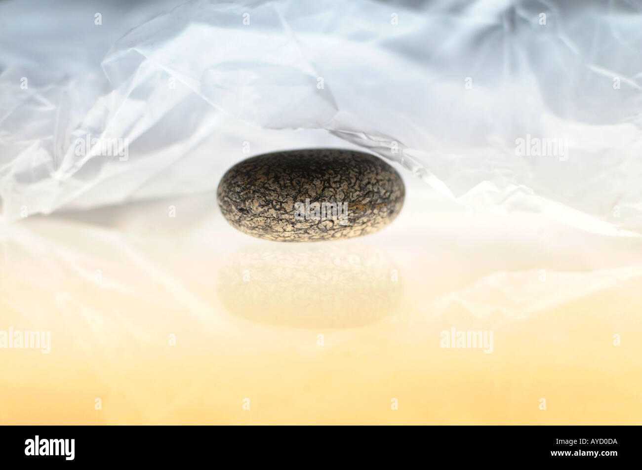 Smooth Pebble on a lit background Stock Photo - Alamy