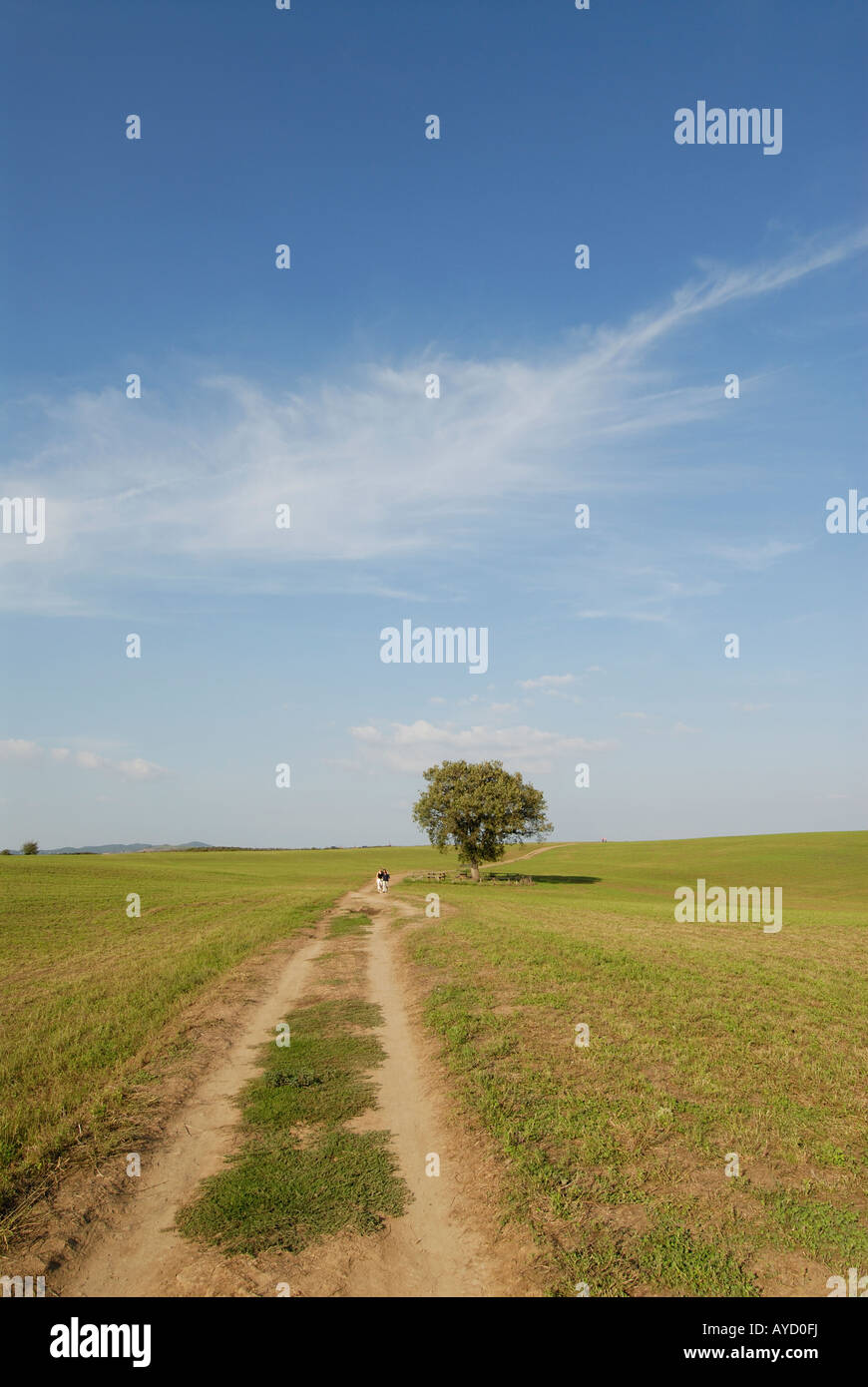 Parco veio hi-res stock photography and images - Alamy