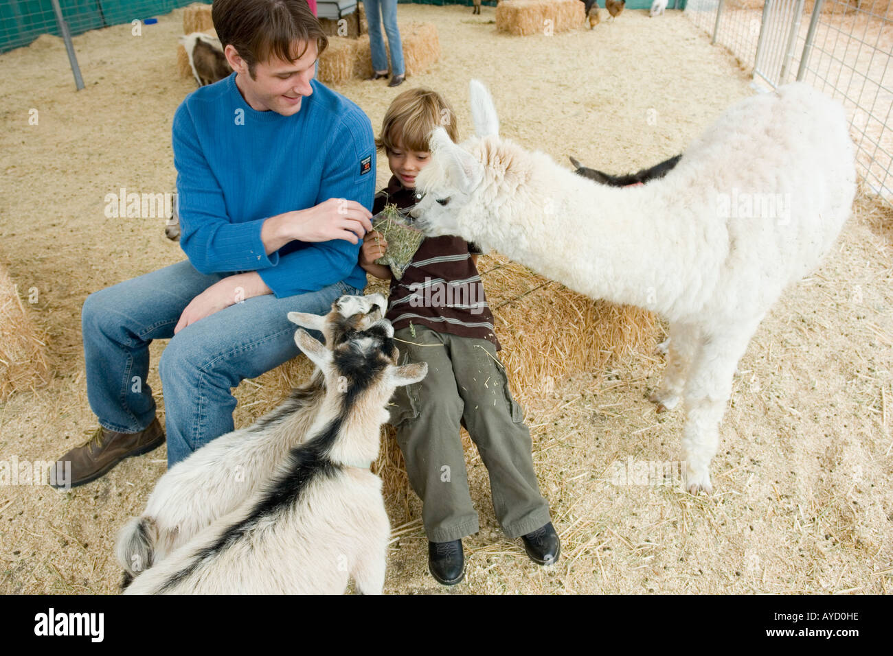 Man and child with zoo animals Stock Photo - Alamy