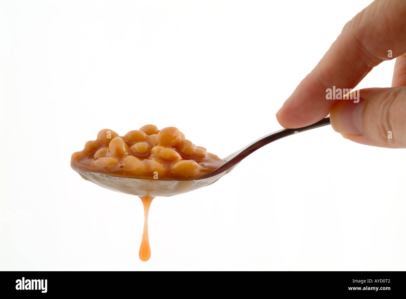 spoonful of baked beans with tomato sauce drip Stock Photo - Alamy