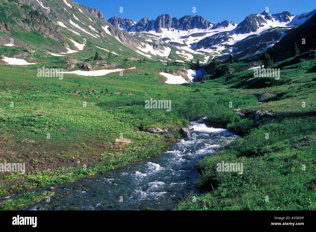 American Basin off the Alpine Loop Scenic Byway, Lake Fork of the ...