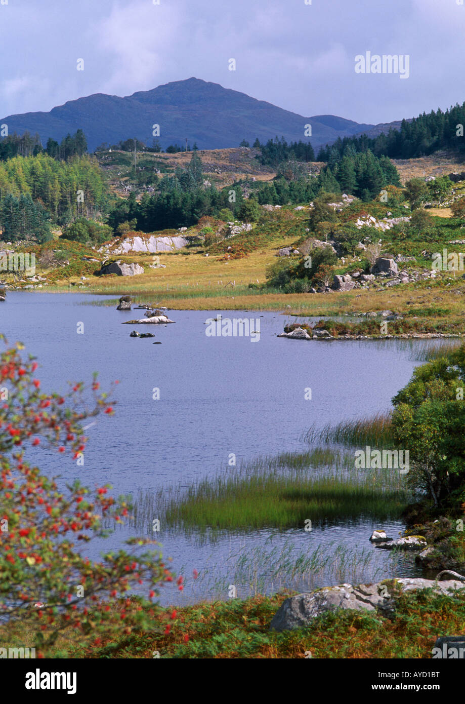 Lake in Killarney National Park County Kerry Ireland Stock Photo - Alamy