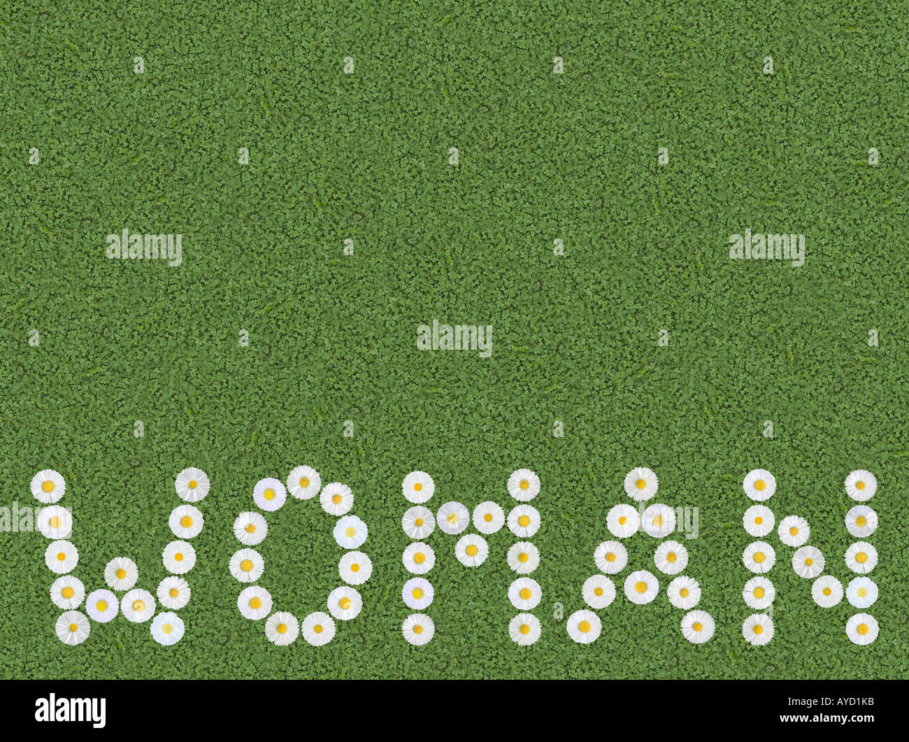 Female woman written hi-res stock photography and images - Alamy