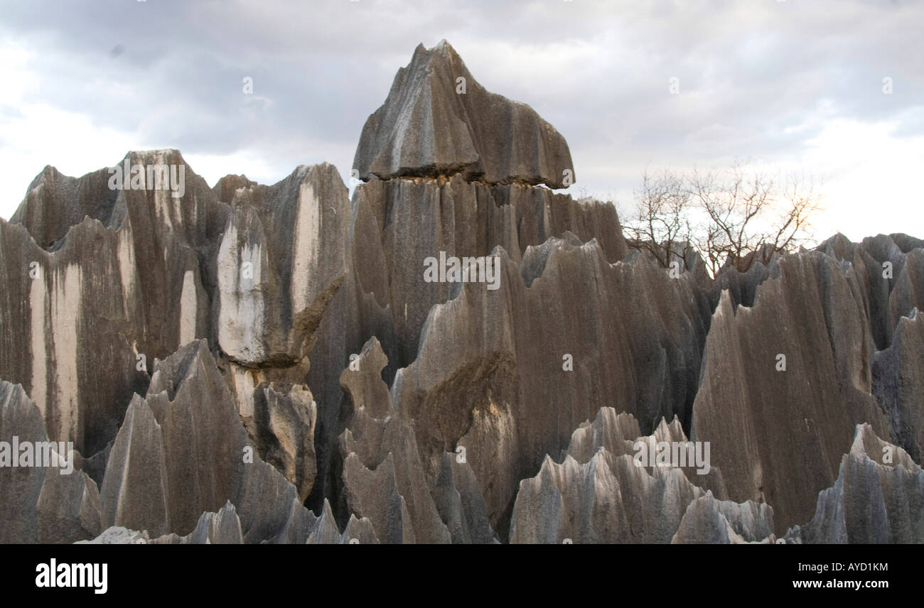 Intricate formations of Shilin, Stone Forest in the Lunan Yi ...