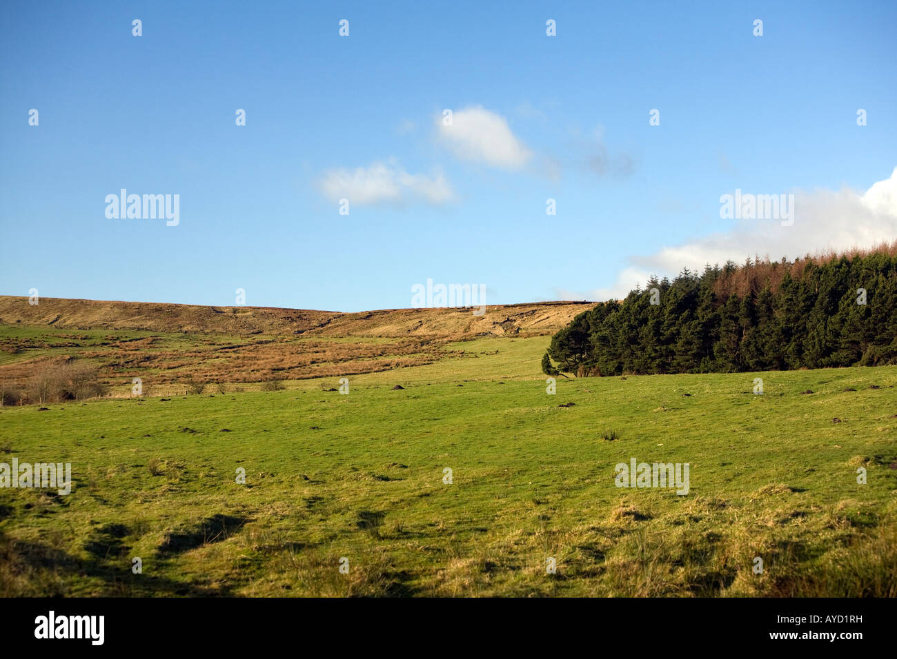Glorious undulating hi-res stock photography and images - Alamy