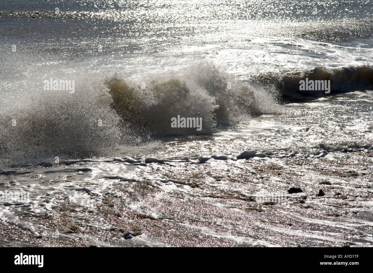 Surfer on rolling sea waves hi-res stock photography and images - Alamy