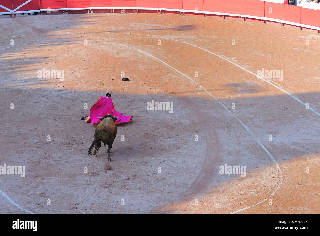 Corrida arles hi-res stock photography and images - Alamy