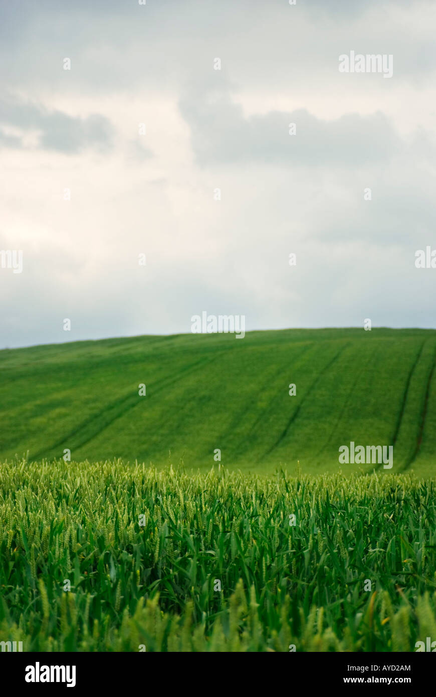 Nazeing hi-res stock photography and images - Alamy