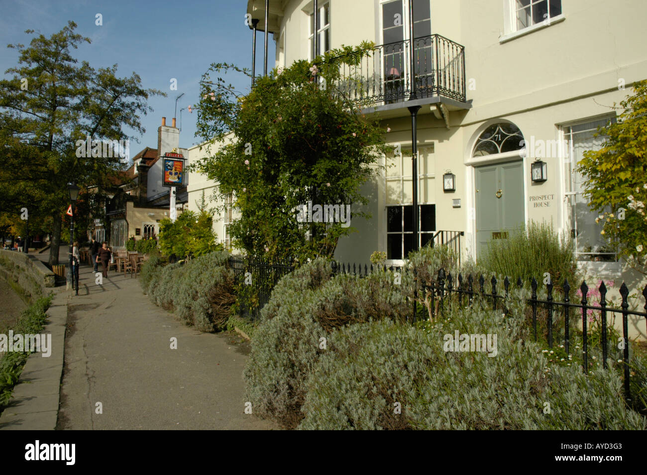 Strand on the Green next to the River Thames London Stock Photo - Alamy