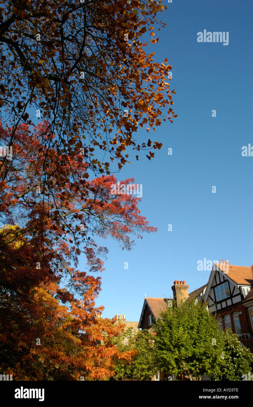 Dulwich Village Stock Photos & Dulwich Village Stock Images - Alamy