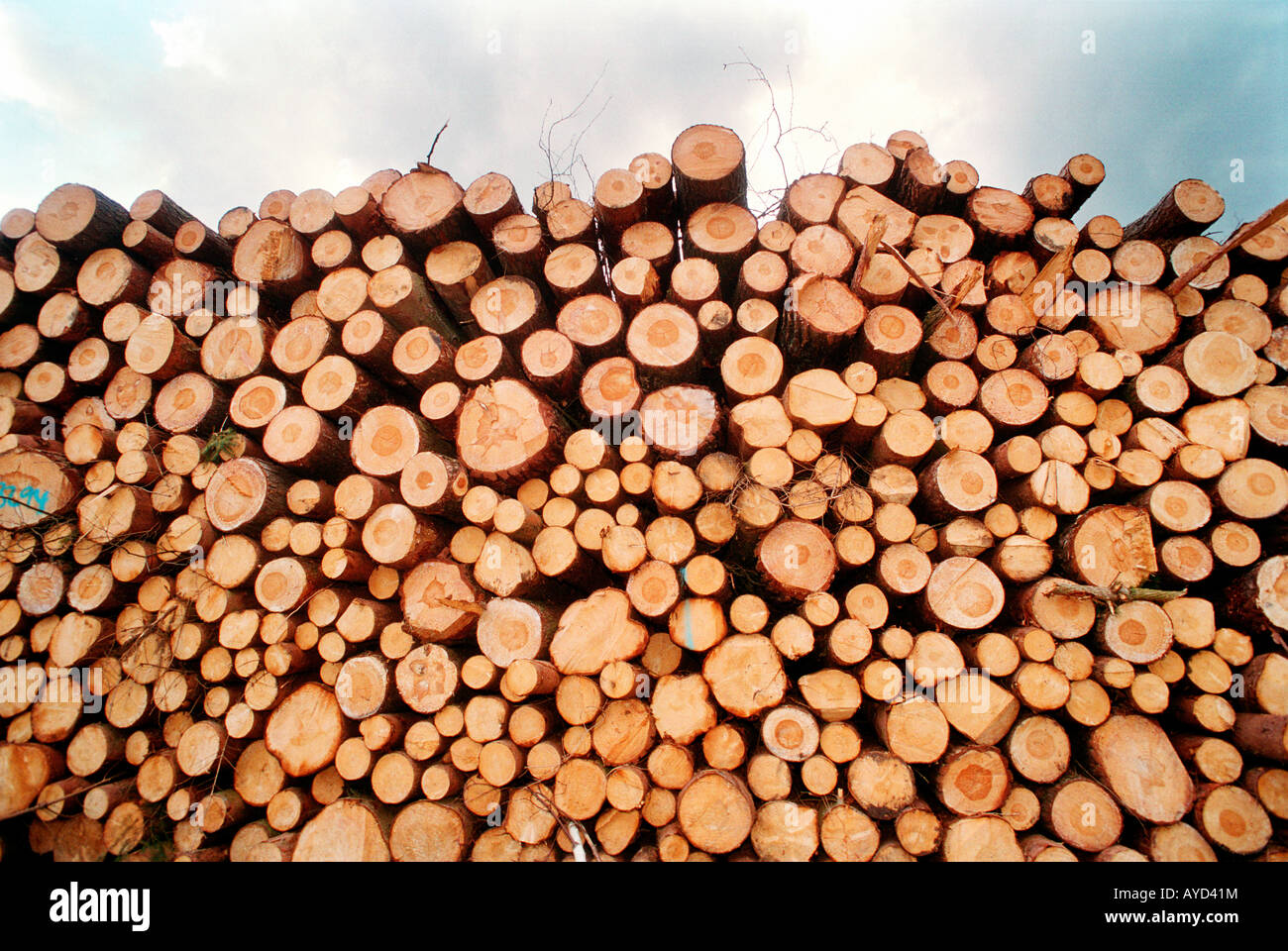 Raw material stack hi-res stock photography and images - Alamy